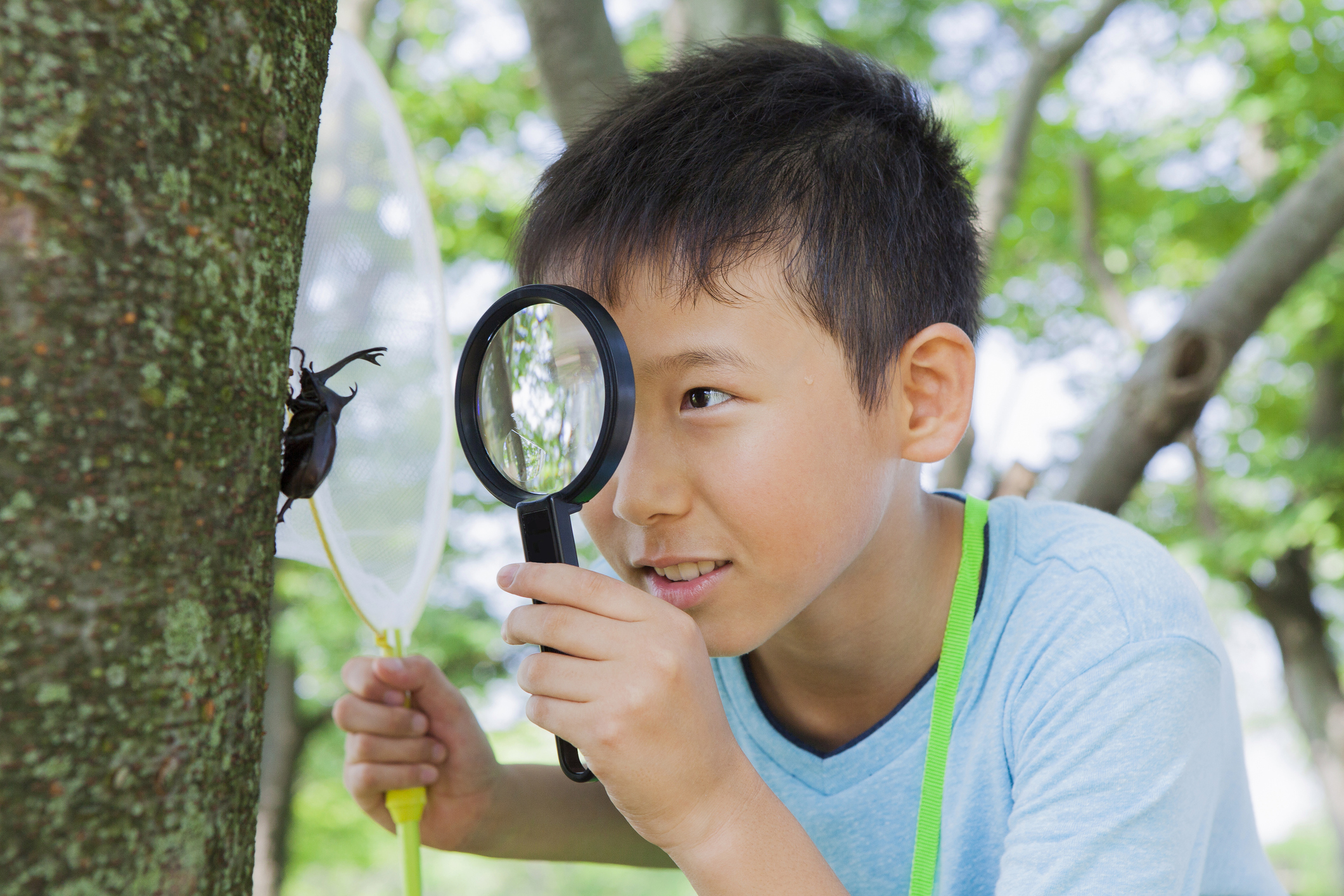 The best bug catchers | 21Oak