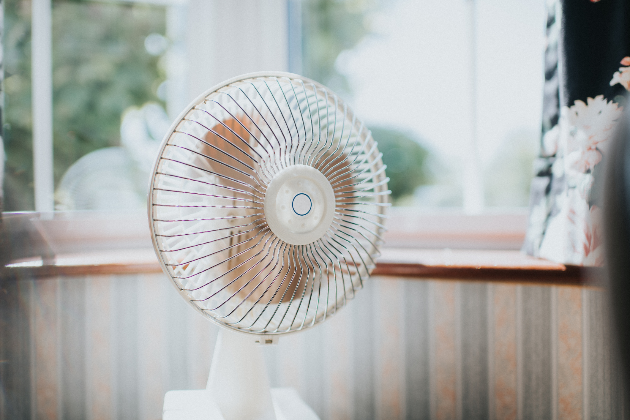 The best oscillating fans to create the perfect environment | 21Oak
