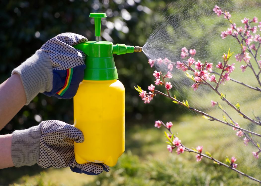Want to Keep Bugs Out? Here are the 7 Best Prevention Tips | 21Oak