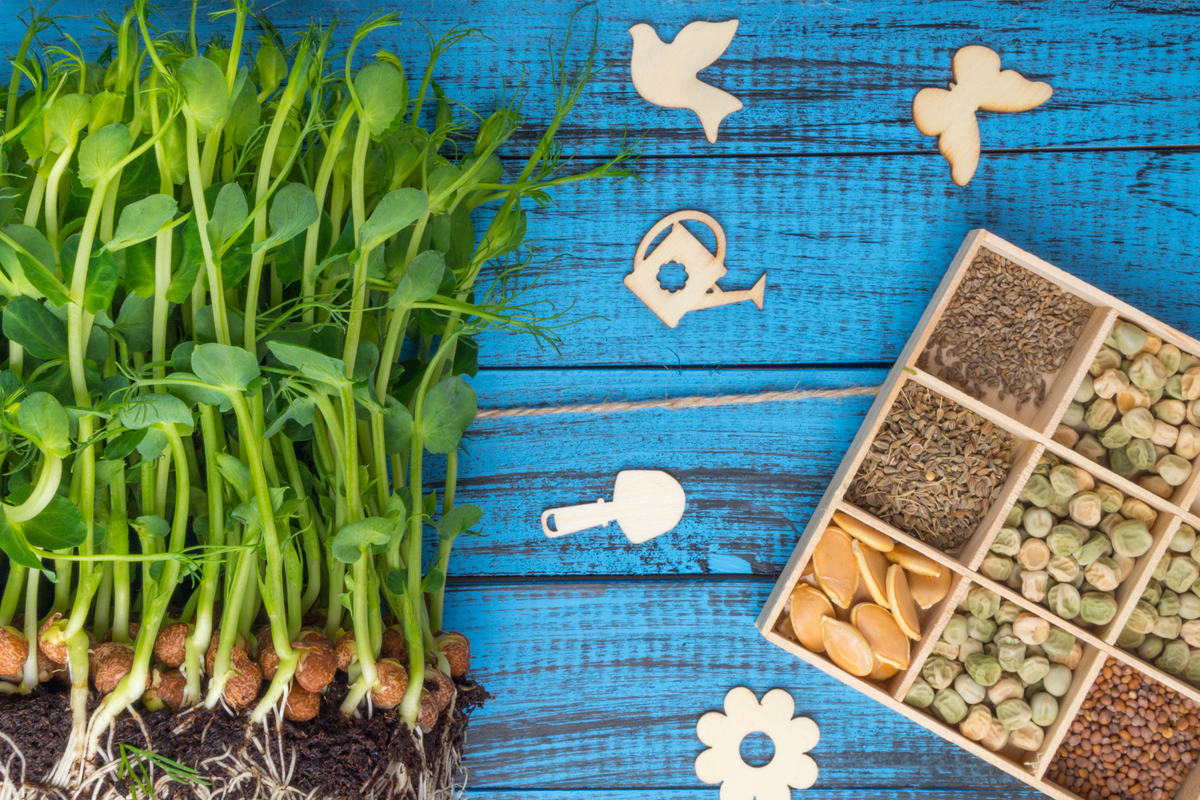 Seed storage options that are pretty and fuctional | 21Oak