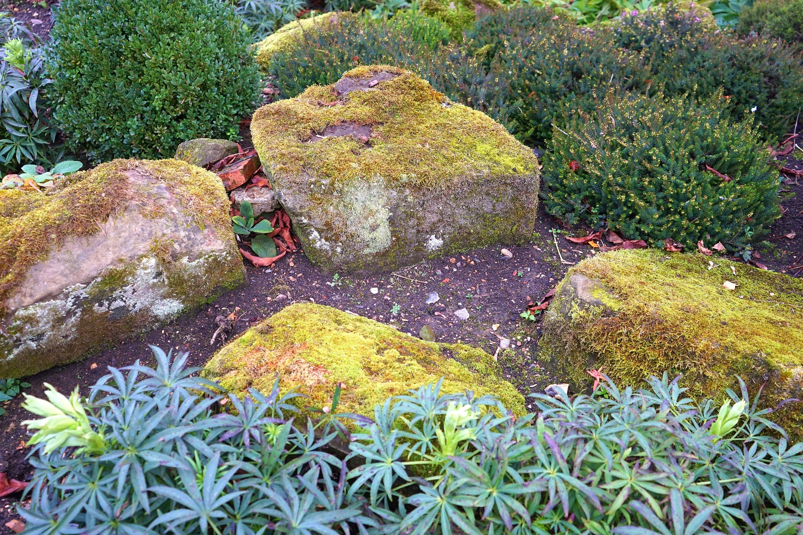 DIY rock garden ideas for any outdoor space | 21Oak