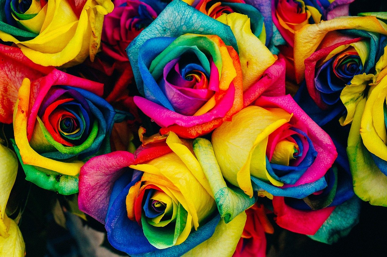 What Are Kaleidoscope Roses? Can You Grow Them In Your Yard? | 21Oak
