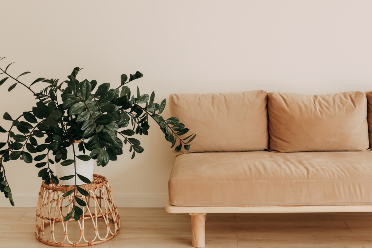 4 Incredible Neutral Paint Colors For A Stellar Home Design | 21Oak