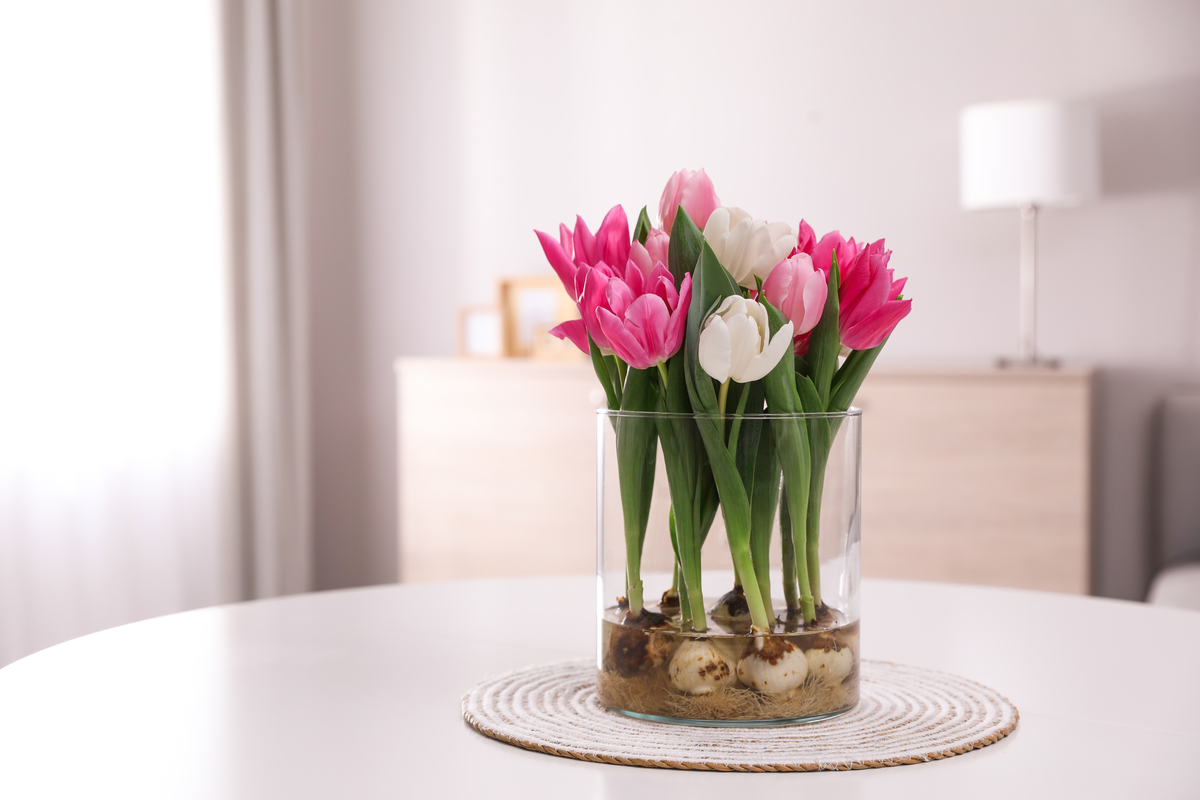 8 Gorgeous Blooms To Brighten Up Your Home This April | 21Oak