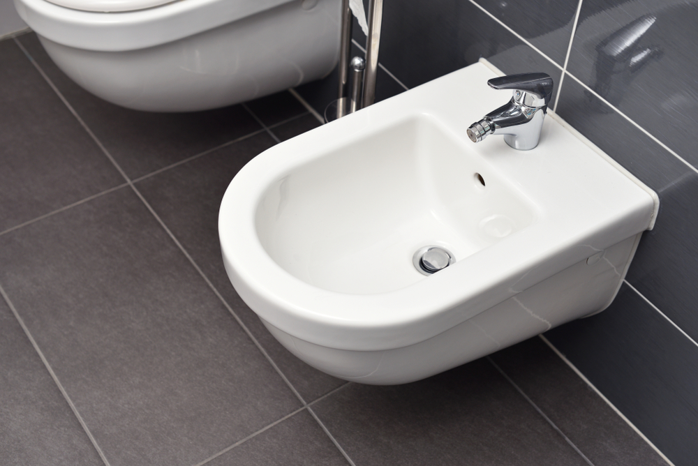 What Is a Bidet? Everything You Need to Know | 21Oak