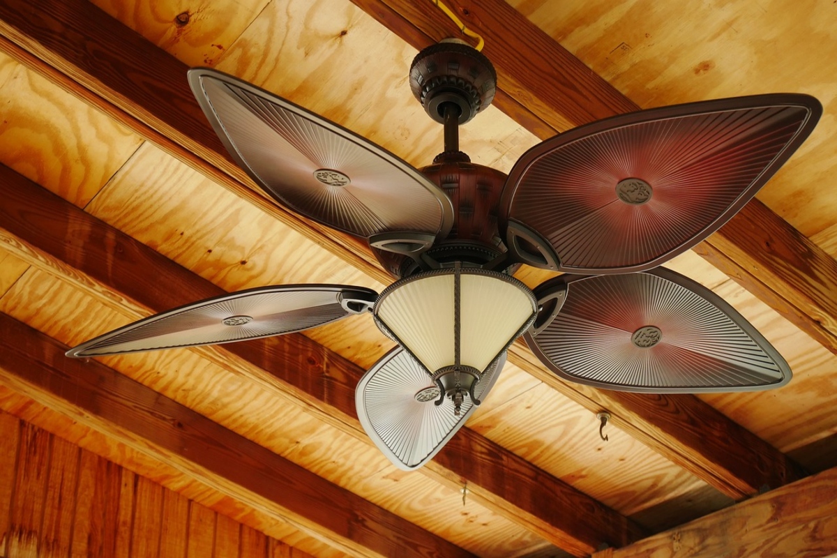 Ceiling fan direction for summer and winter: What to know | 21Oak