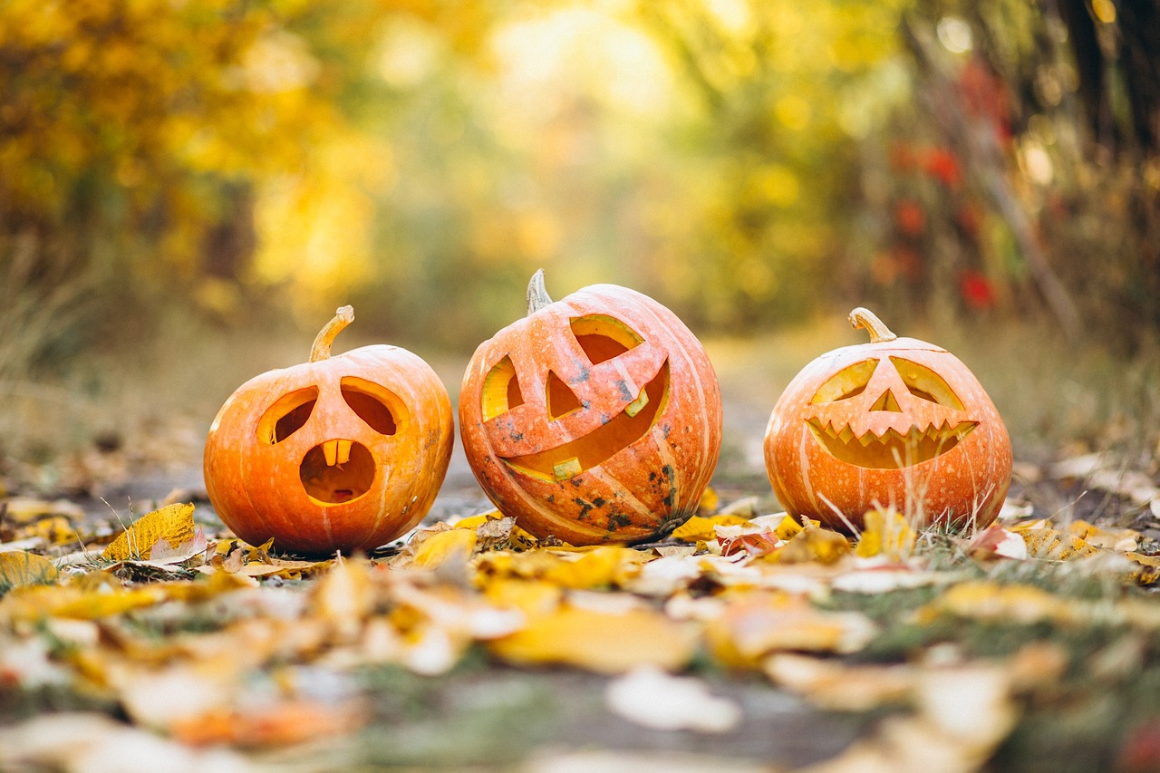 Unique carved pumpkins store